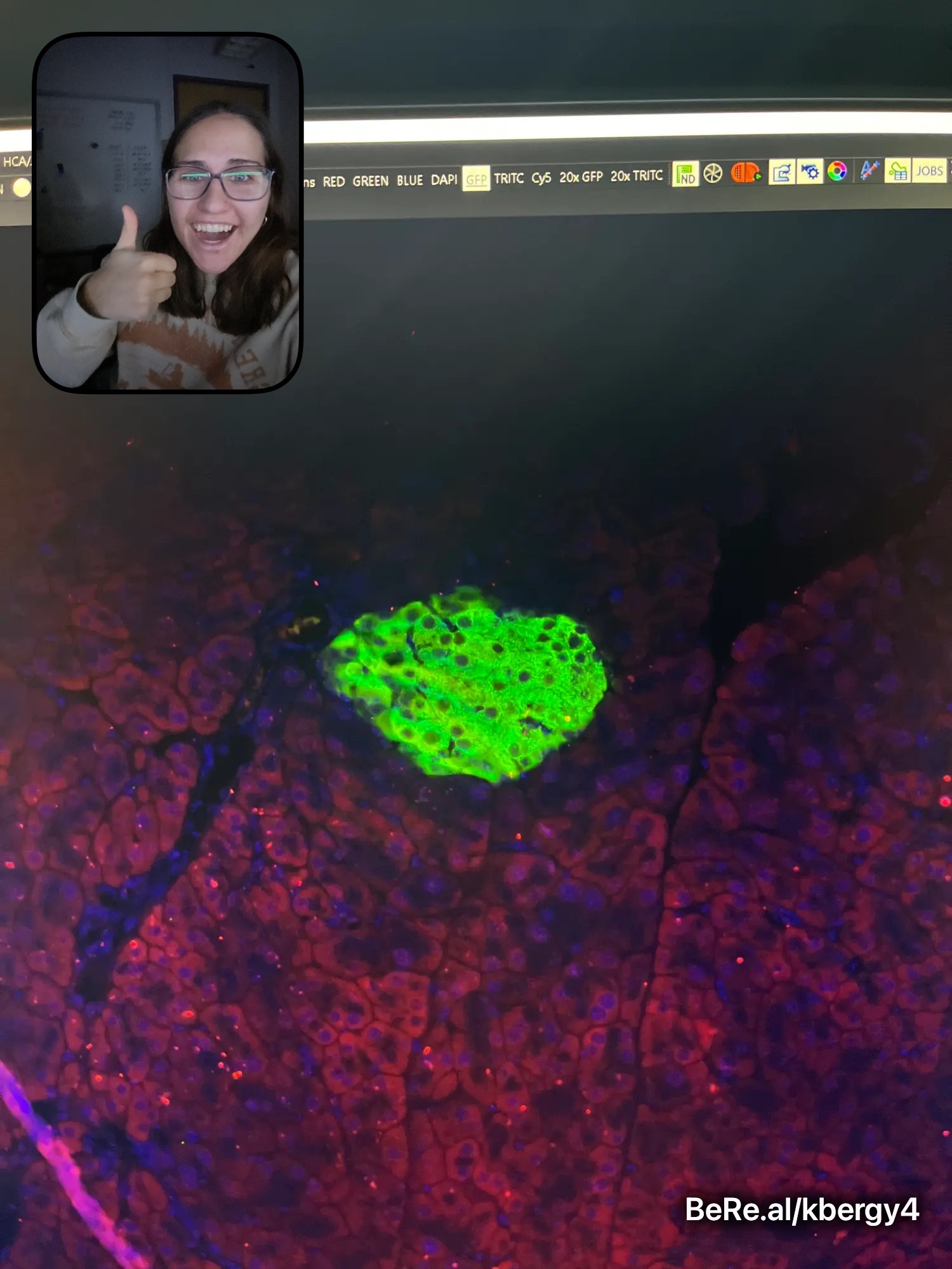 LABORATORY ROTATIONS // FINDING YOUR HOME – intalksicology